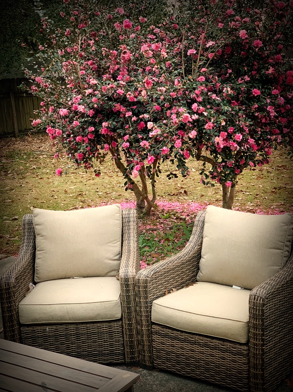 How are you surviving? – Imperfect-me